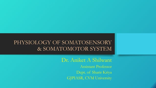 HNS PART VII - SOMATOMOTOR & SOMATOSENSORY SYSTEM | PPT