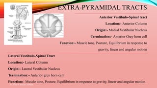 HNS PART VI - SPINAL CORD | PPT