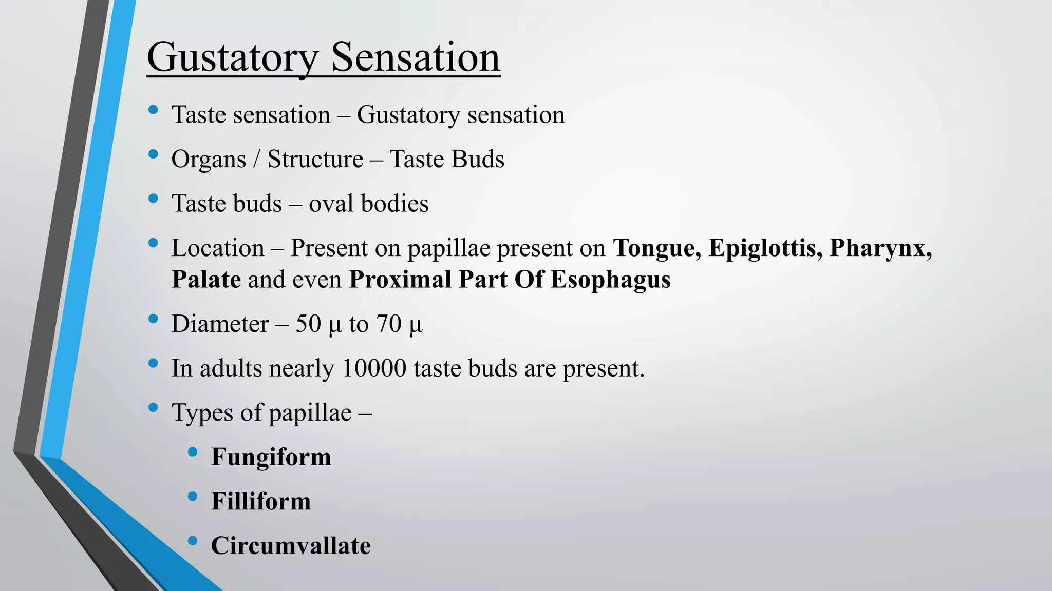 HNS PART XI SPECIAL SENSES GUSTATORY & OLFACTORY | PPT