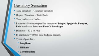 HNS PART XI SPECIAL SENSES GUSTATORY & OLFACTORY | PPT