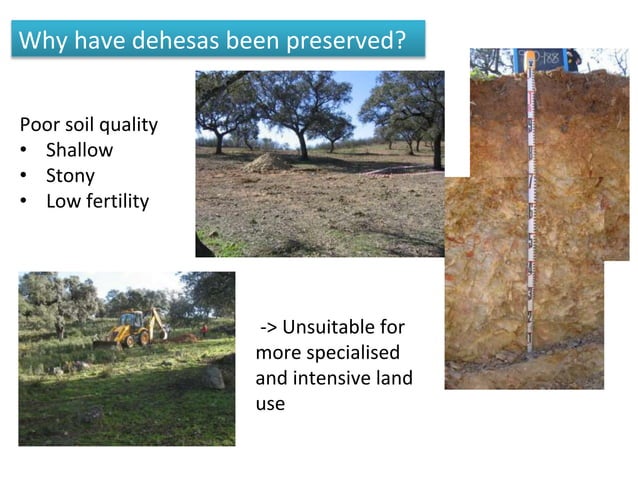 A Spanish case study in High Nature Value farming: The dehesa agroforestry system in the Iberian ...