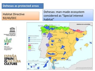 A Spanish case study in High Nature Value farming: The dehesa agroforestry system in the Iberian ...