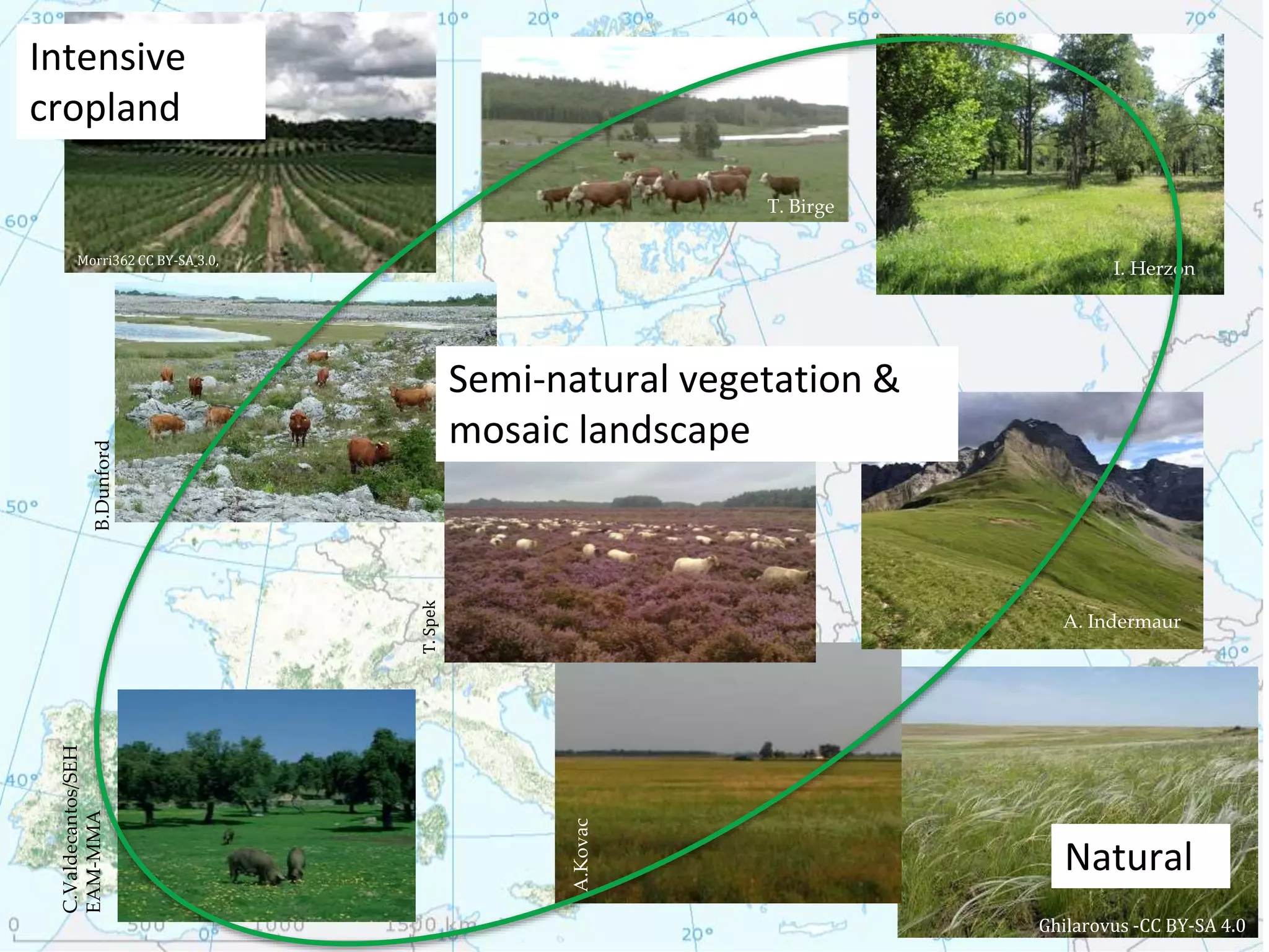 High Nature Value farmland Overview | PPT