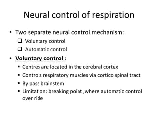 Neural regulation of_respiration | PPTX