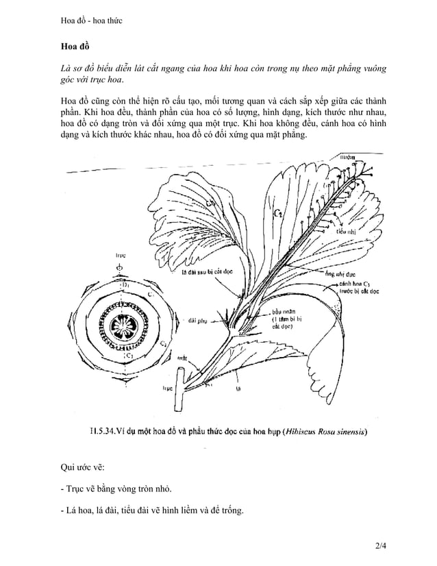 Hoa đồ hoa thức | PDF