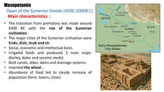 Comprehensive Overview of Mesopotamian Civilization and Architecture | PDF