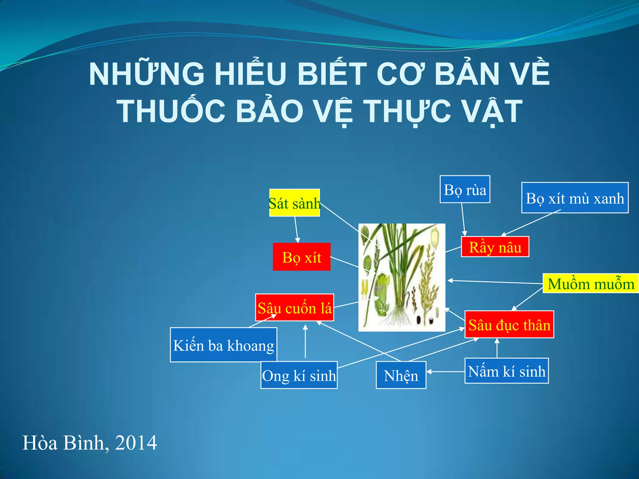 Hoa chat bao ve thuc vat 2014 | PPT