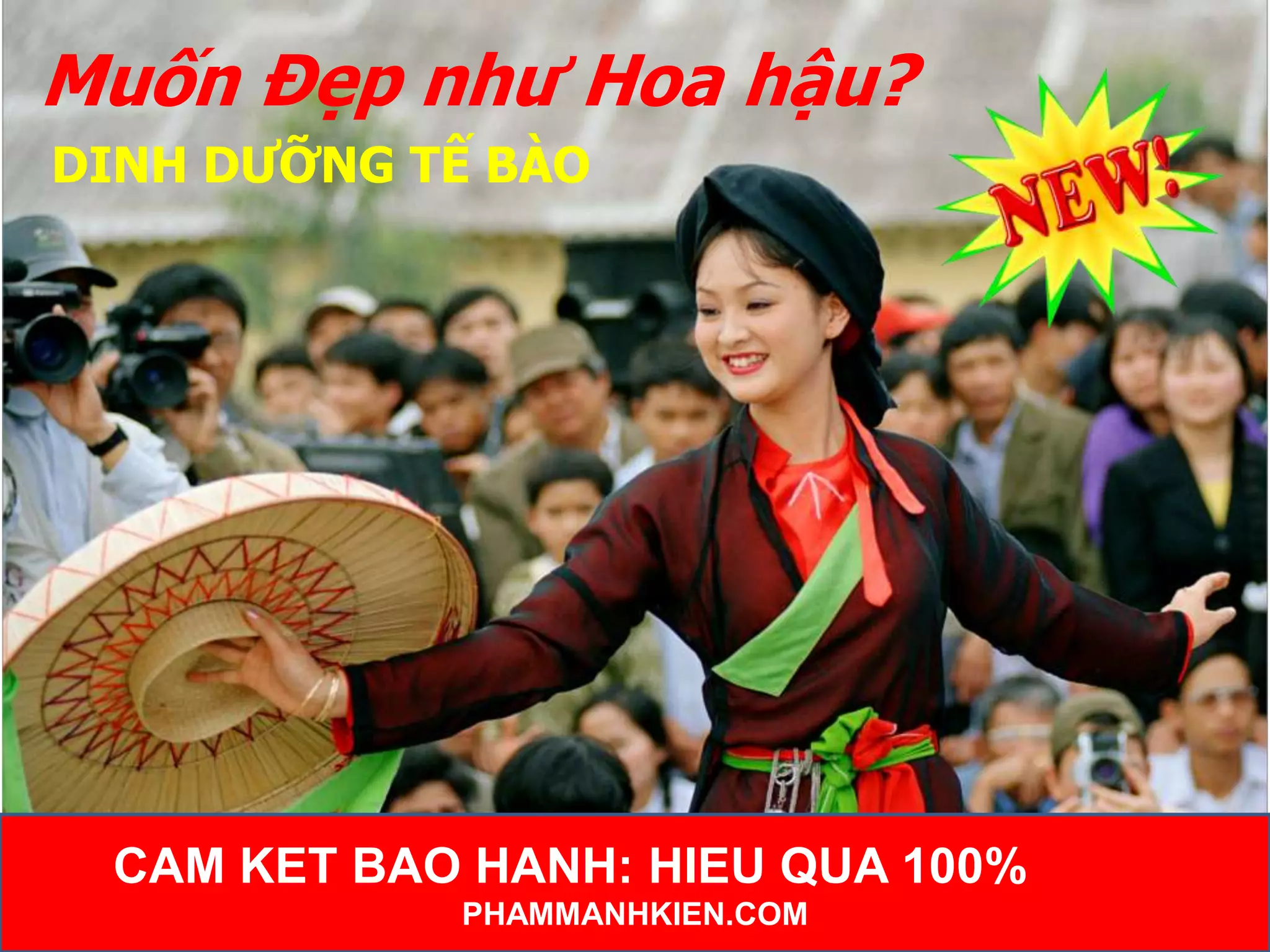 DEP NHU HOA HAU | PPT