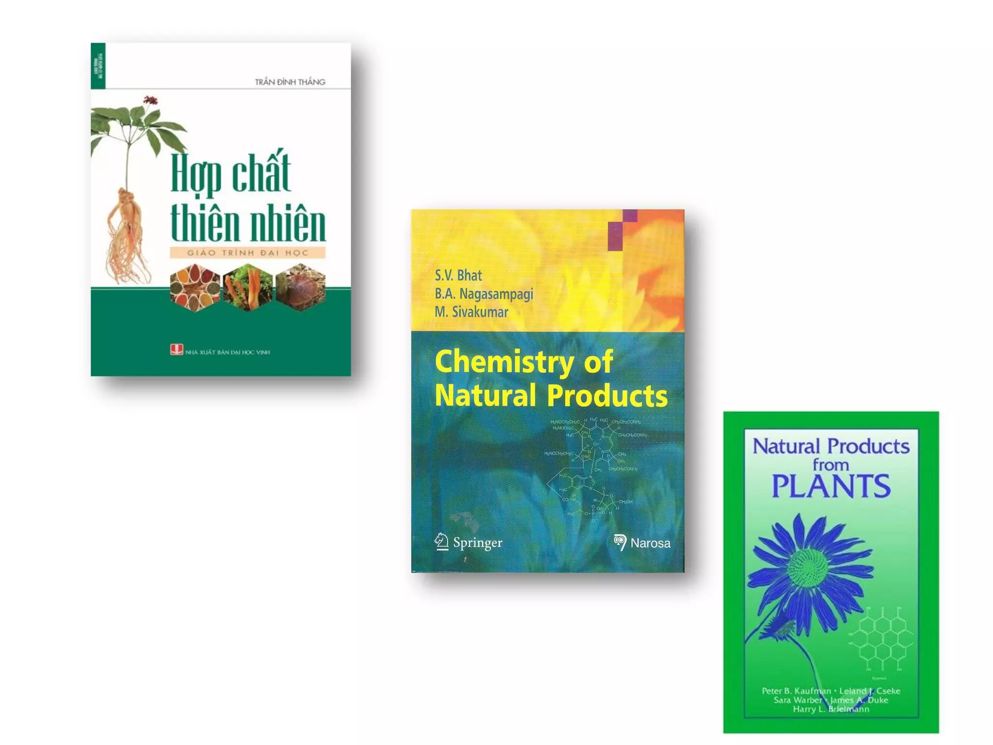 Hoa hoc cac hop chat tu nhien nguyen ngoc tuan ph d | PDF