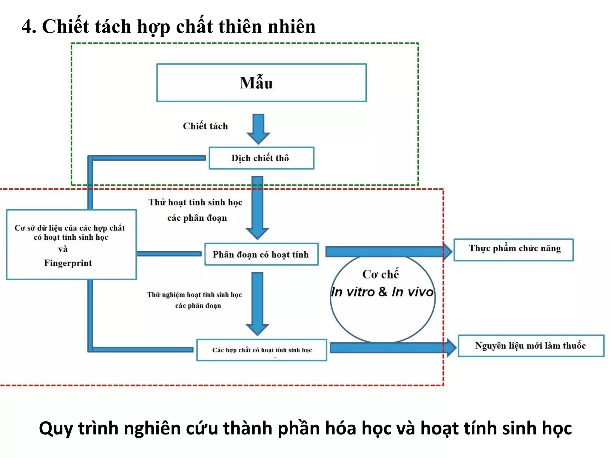 Hoa hoc cac hop chat tu nhien nguyen ngoc tuan ph d | PDF
