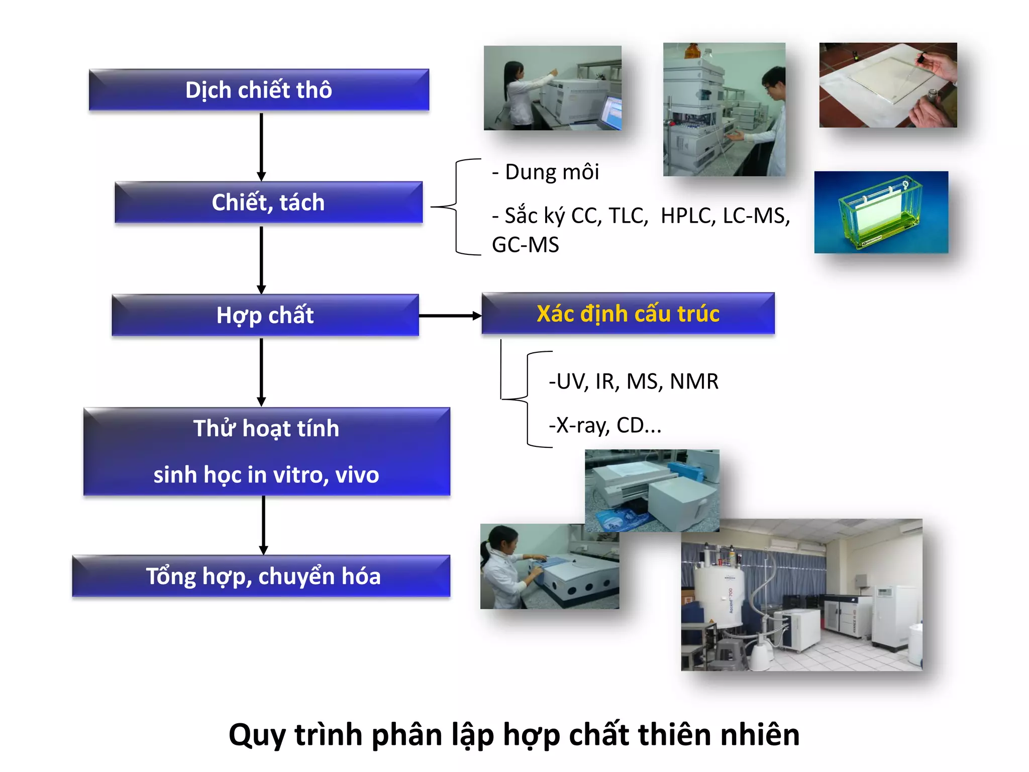 Hoa hoc cac hop chat tu nhien nguyen ngoc tuan ph d | PDF