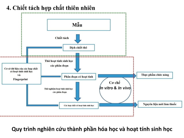 Hoa hoc cac hop chat tu nhien nguyen ngoc tuan ph d | PDF