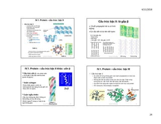 Hóa học protid.pdf