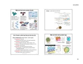 Hóa học protid.pdf