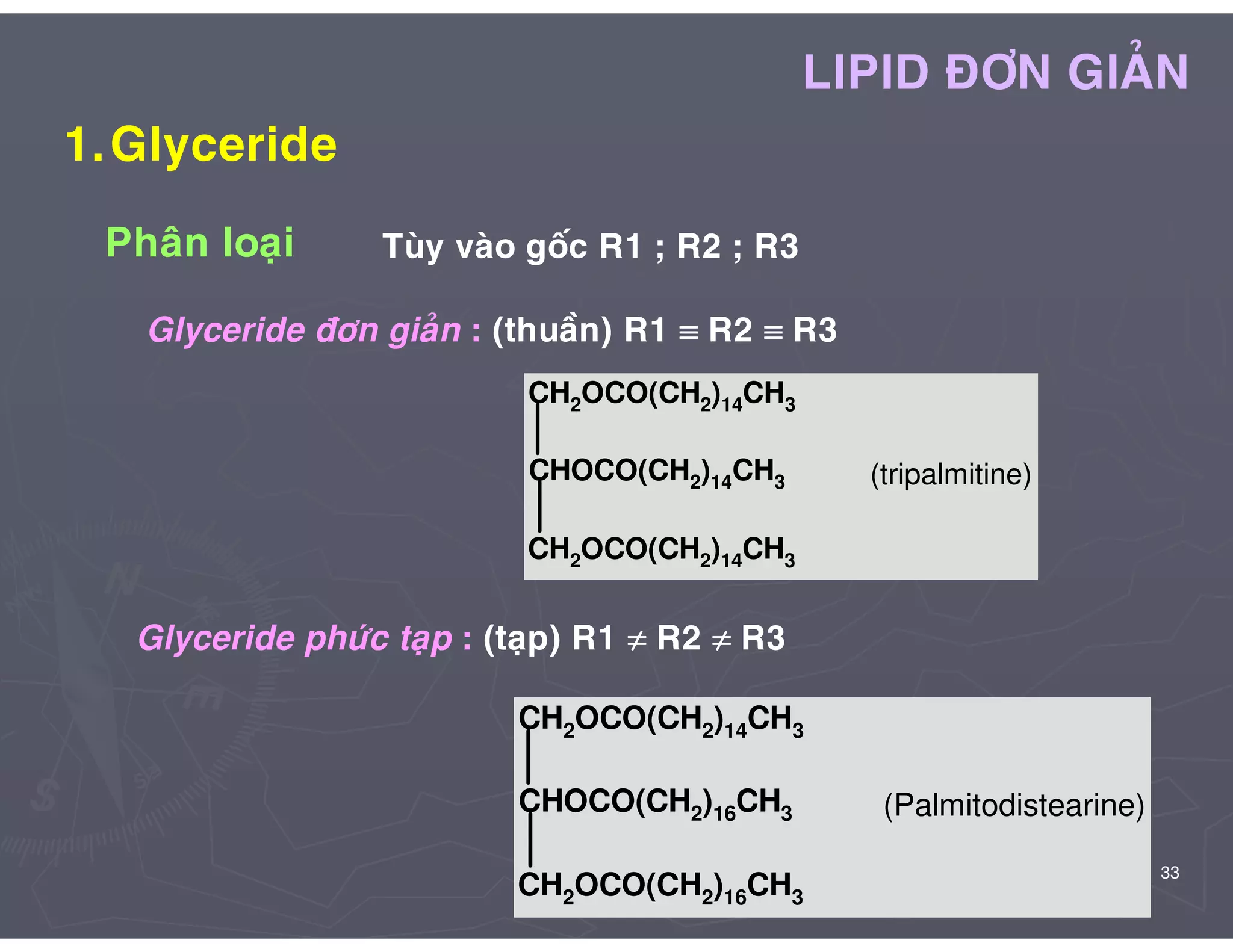 Hoa hoc thuc pham chuong 2 lipid ton nu minh nguyet | PDF