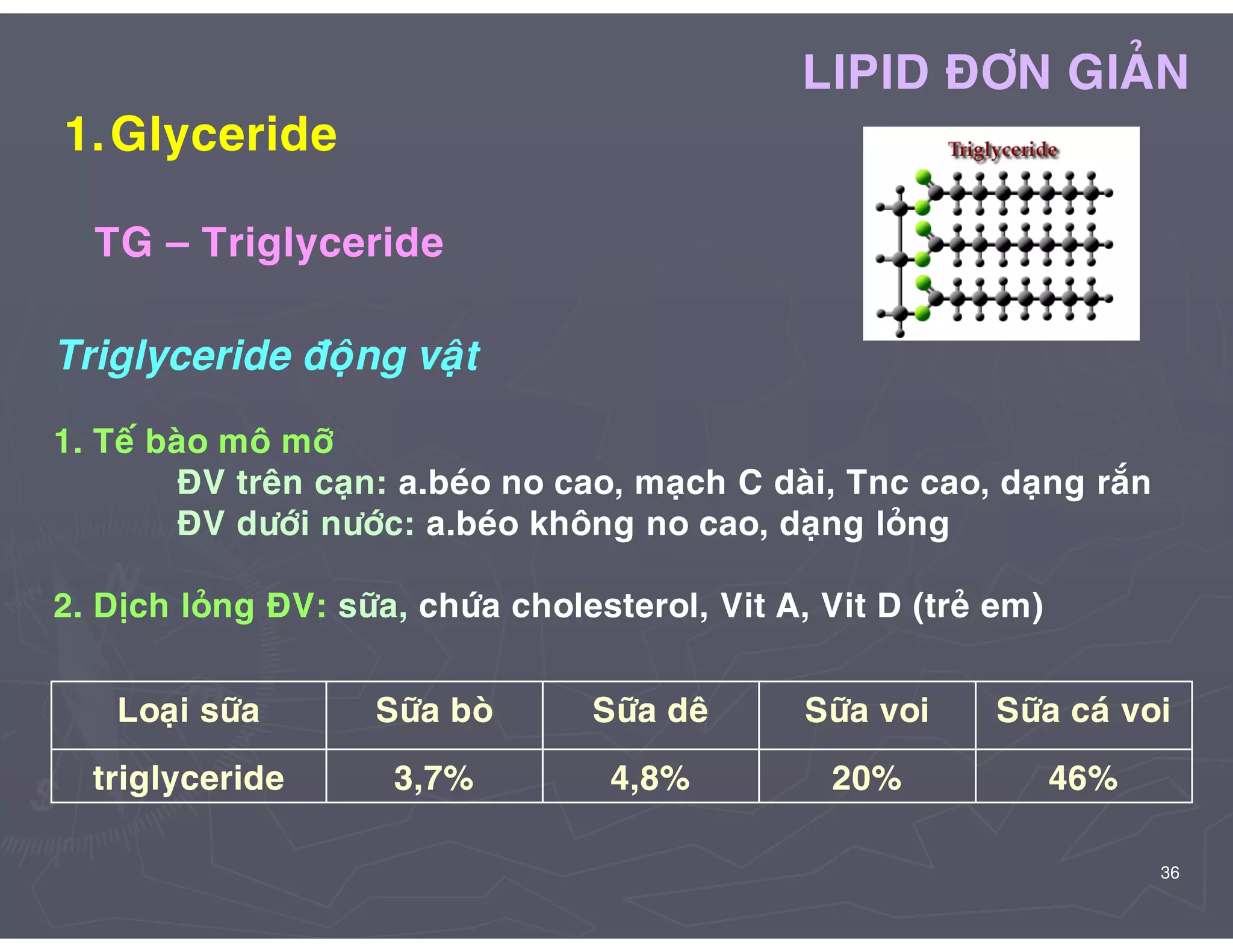 Hoa hoc thuc pham chuong 2 lipid ton nu minh nguyet | PDF