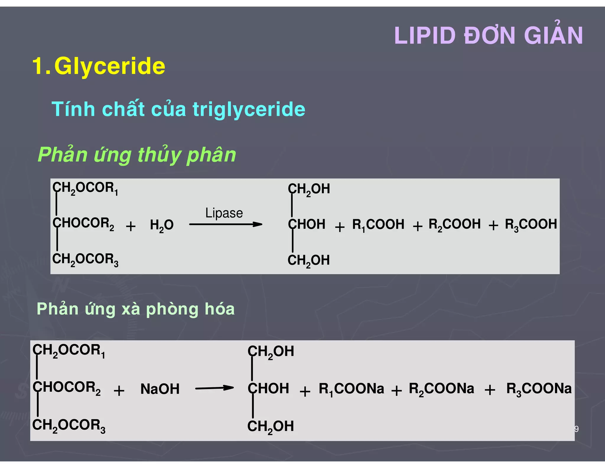 Hoa hoc thuc pham chuong 2 lipid ton nu minh nguyet | PDF