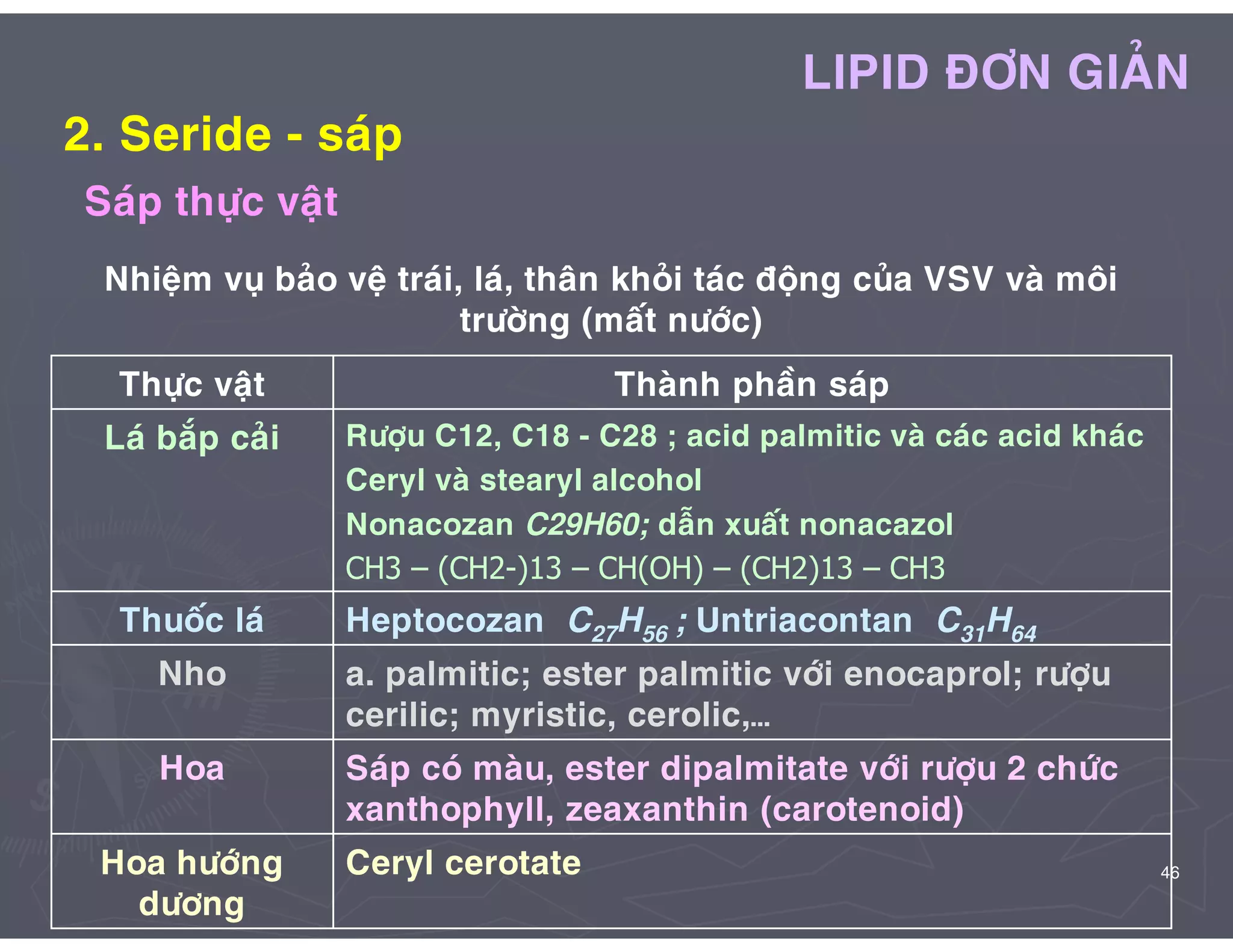 Hoa hoc thuc pham chuong 2 lipid ton nu minh nguyet | PDF
