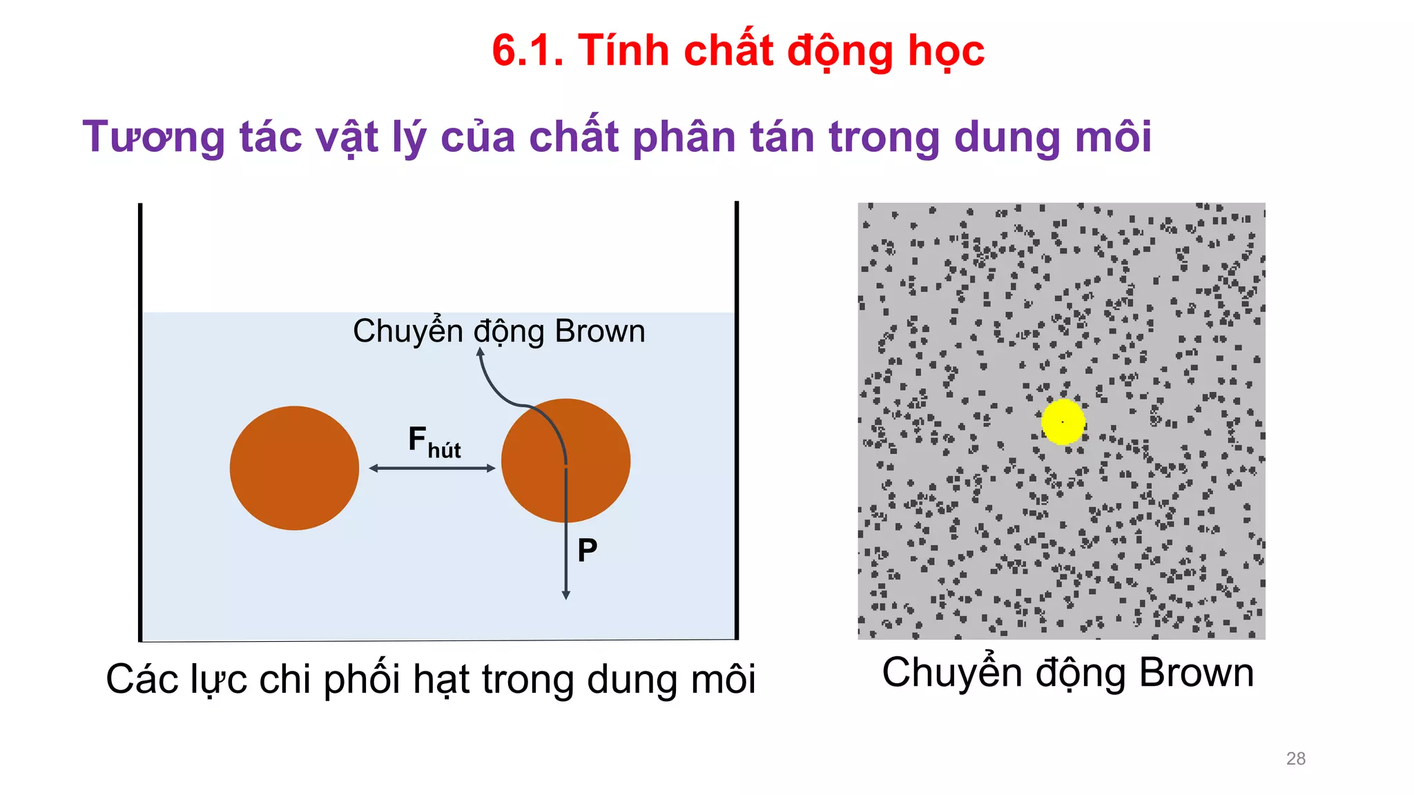 Hoa ly cho duoc phan 5 hoa hoc ve trang thai keo gv trinh ngoc hoan | PDF