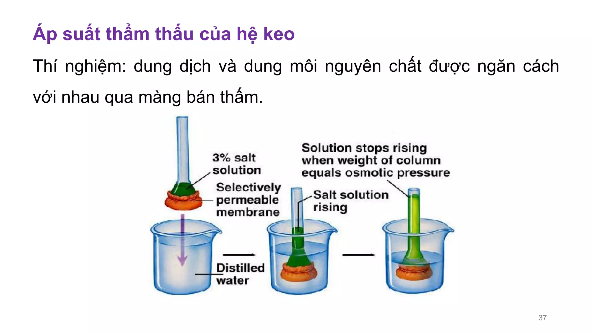 Hoa ly cho duoc phan 5 hoa hoc ve trang thai keo gv trinh ngoc hoan | PDF