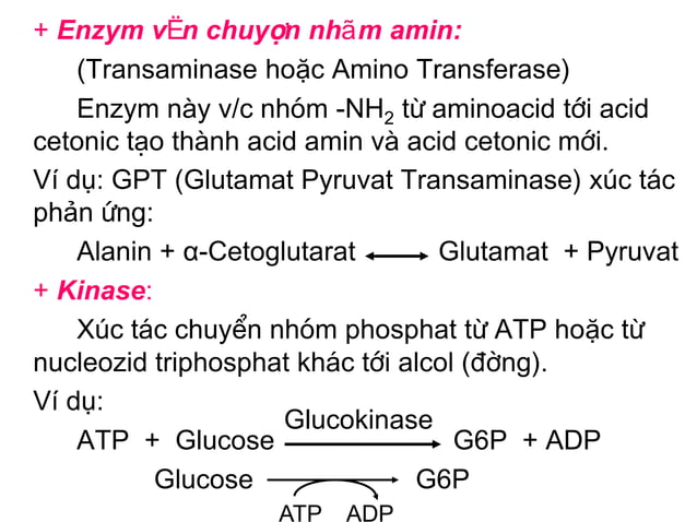 Hoá sinh enzym | PDF