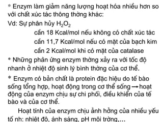 Hoá sinh enzym | PDF