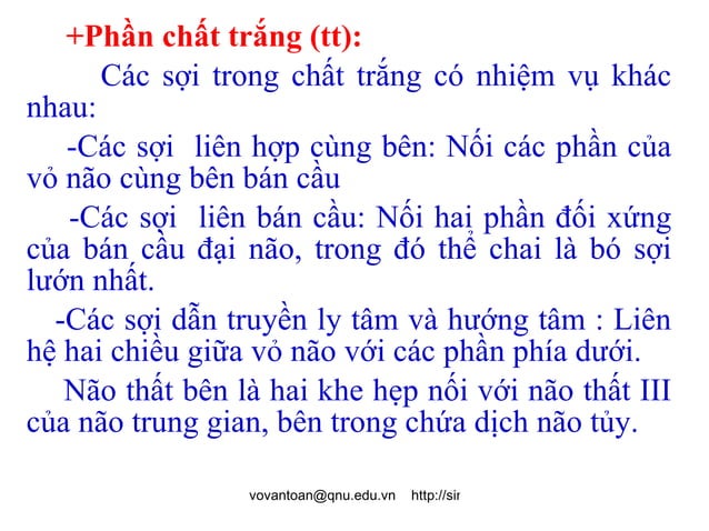 Hoat dong than kinh cap cao p1 | PPT