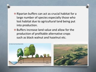 Agro forestry | PPT