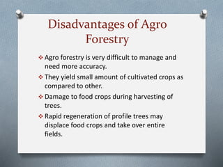 Agro forestry | PPT | Free Download