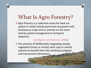 Agro forestry | PPT | Free Download