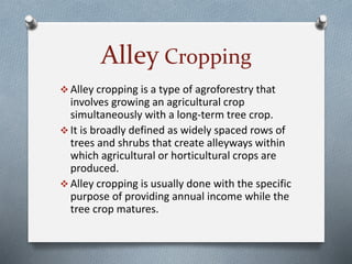 Agro forestry | PDF