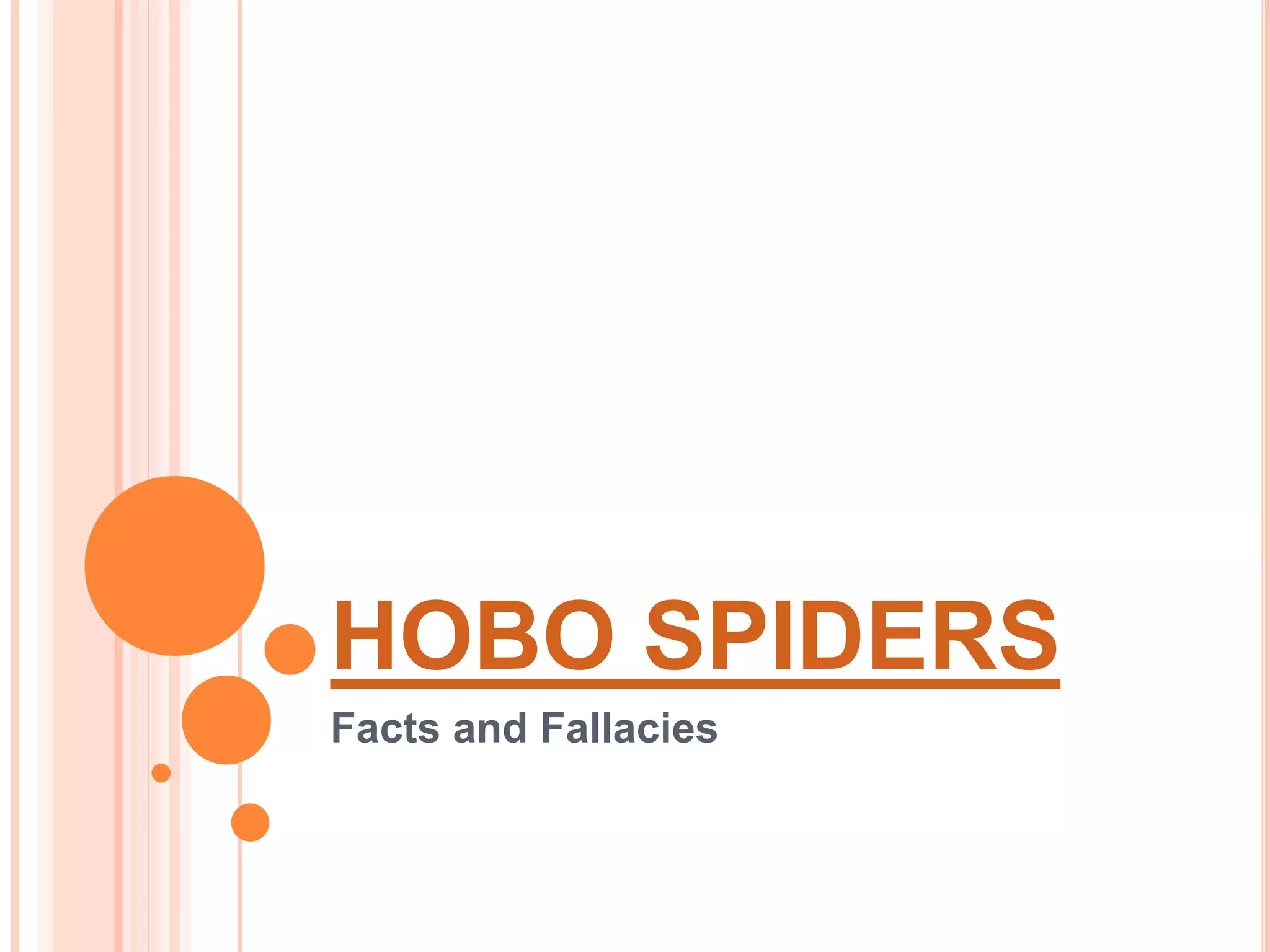 Hobo spiders | PPTX