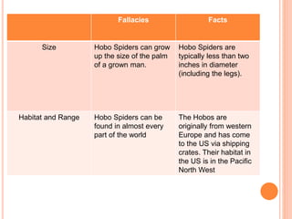 Hobo spiders | PPTX