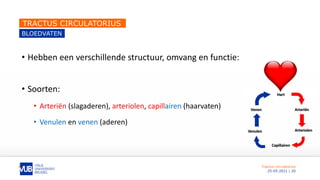 Hoc1 van anatomie 1ste bach biomedi .pdf