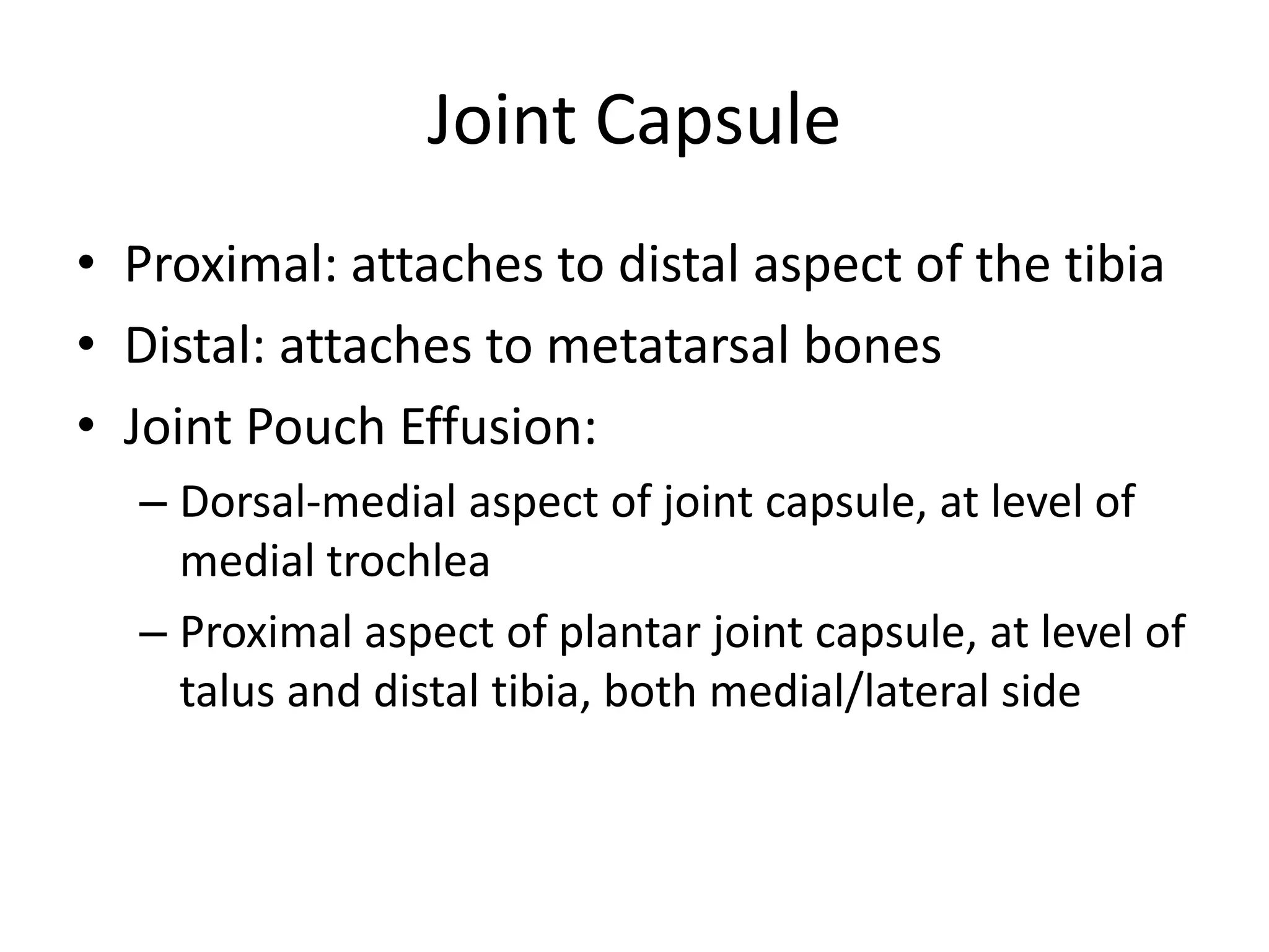 Tarsal Anatomy of the Horse | PPTX