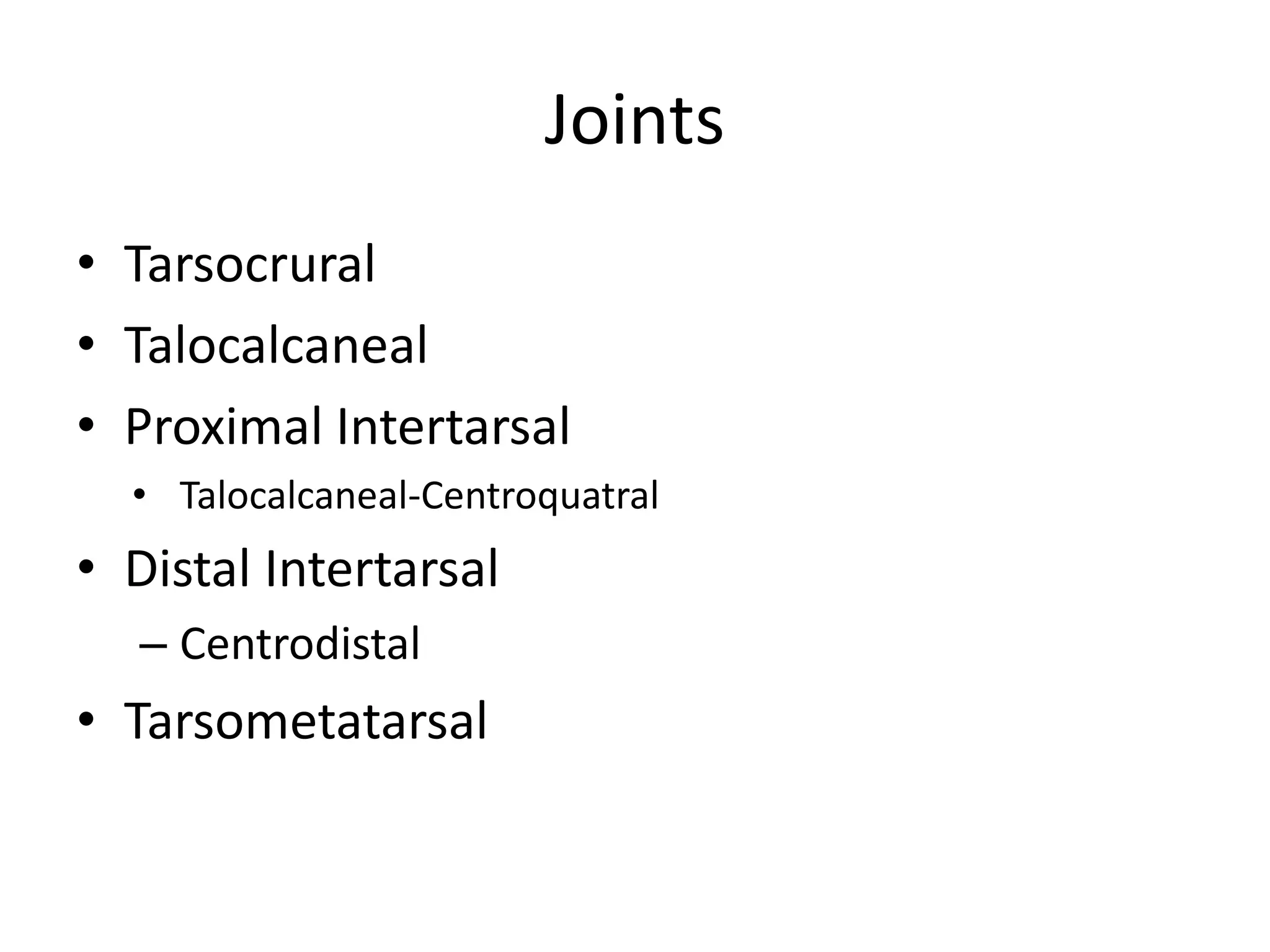 Tarsal Anatomy of the Horse | PPTX
