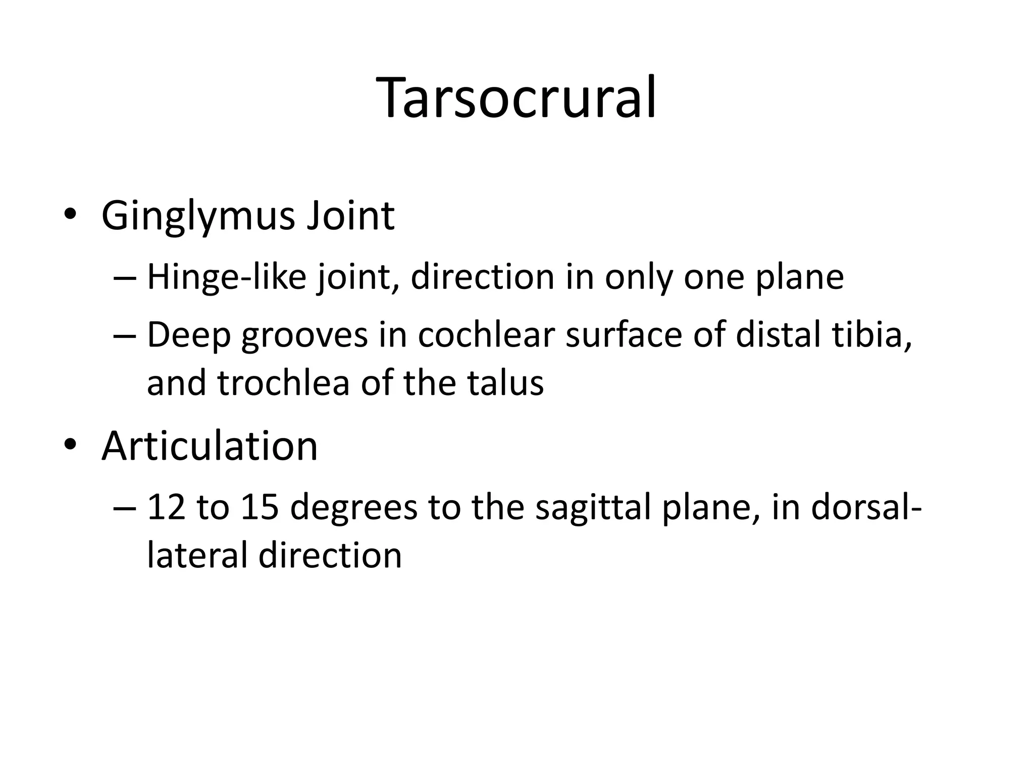 Tarsal Anatomy of the Horse | PPTX