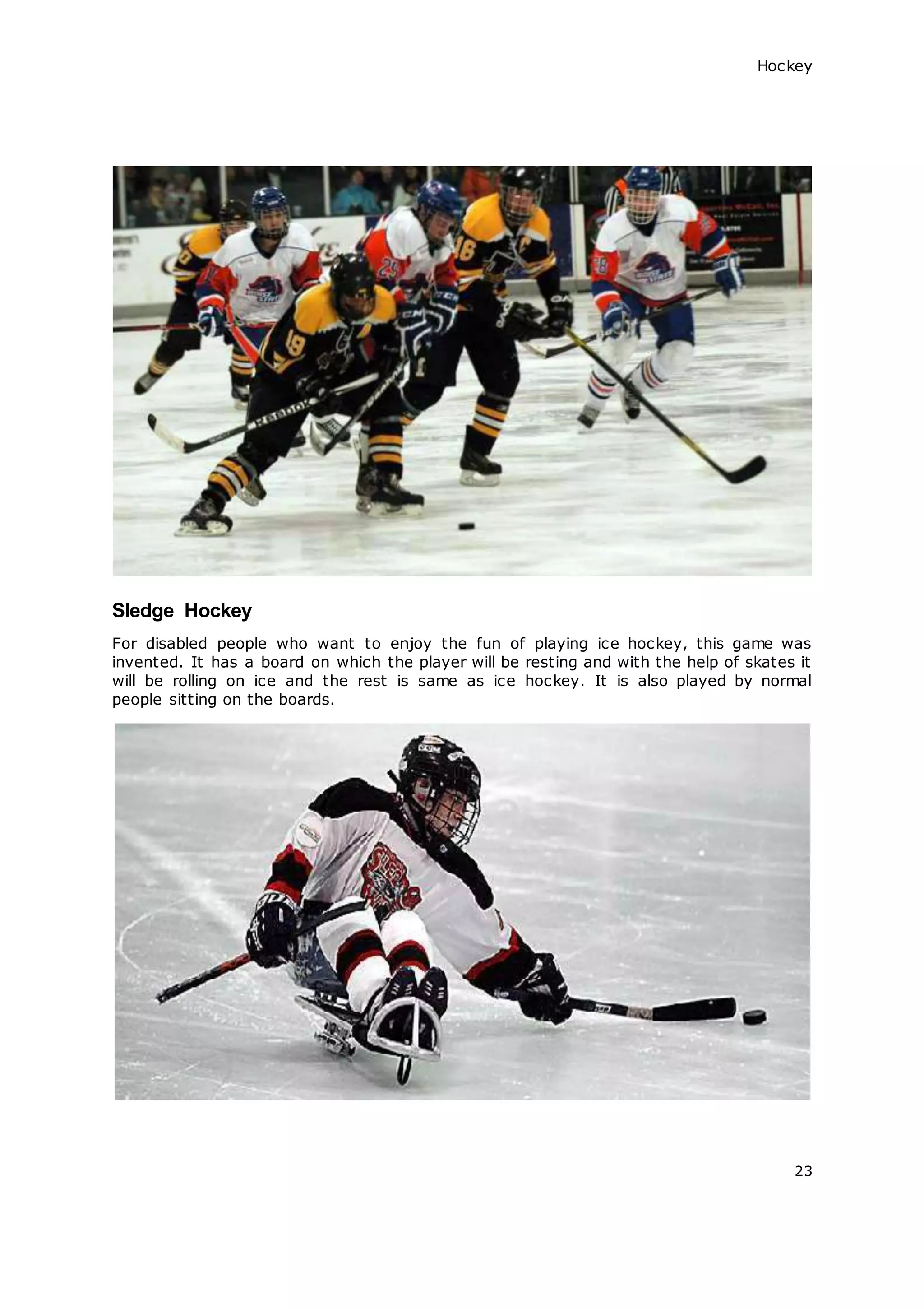 Hockey project class12 | DOCX