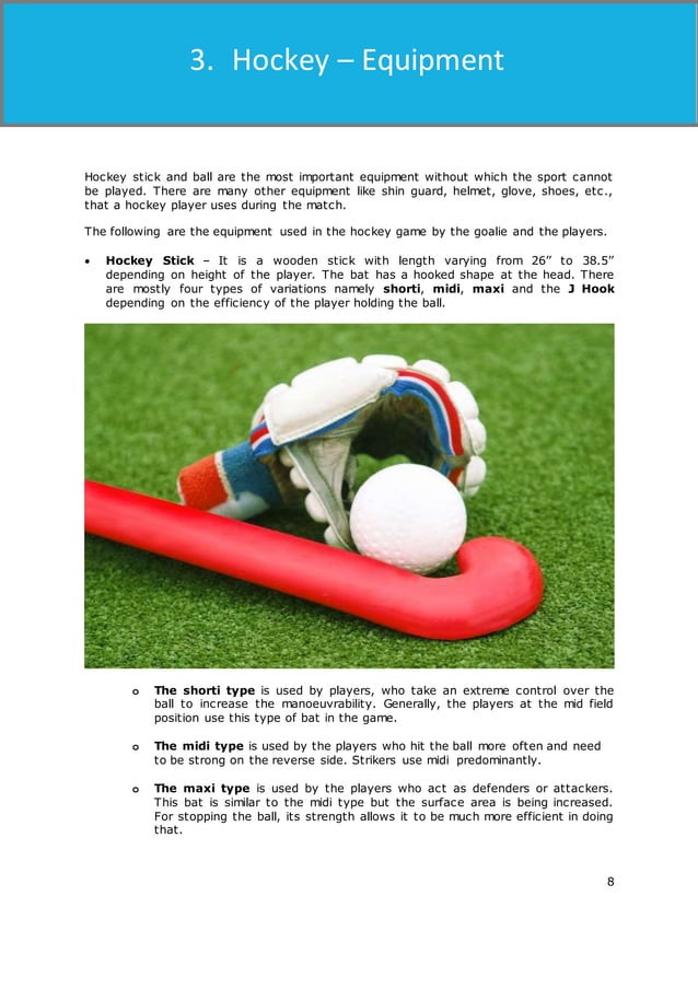 Hockey project class12 | DOCX