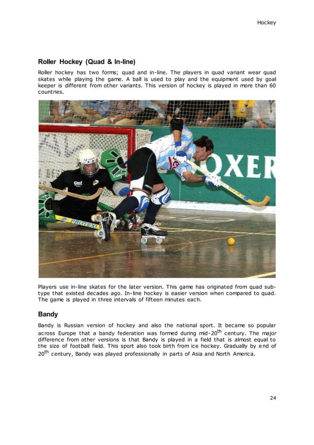 Hockey project class12 | DOCX