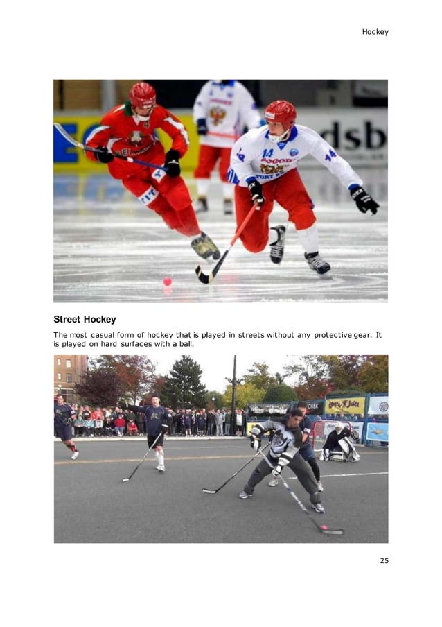 Hockey project class12 | DOCX