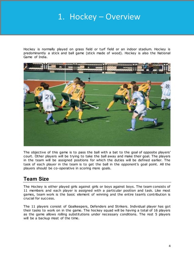 Hockey project class12 | DOCX