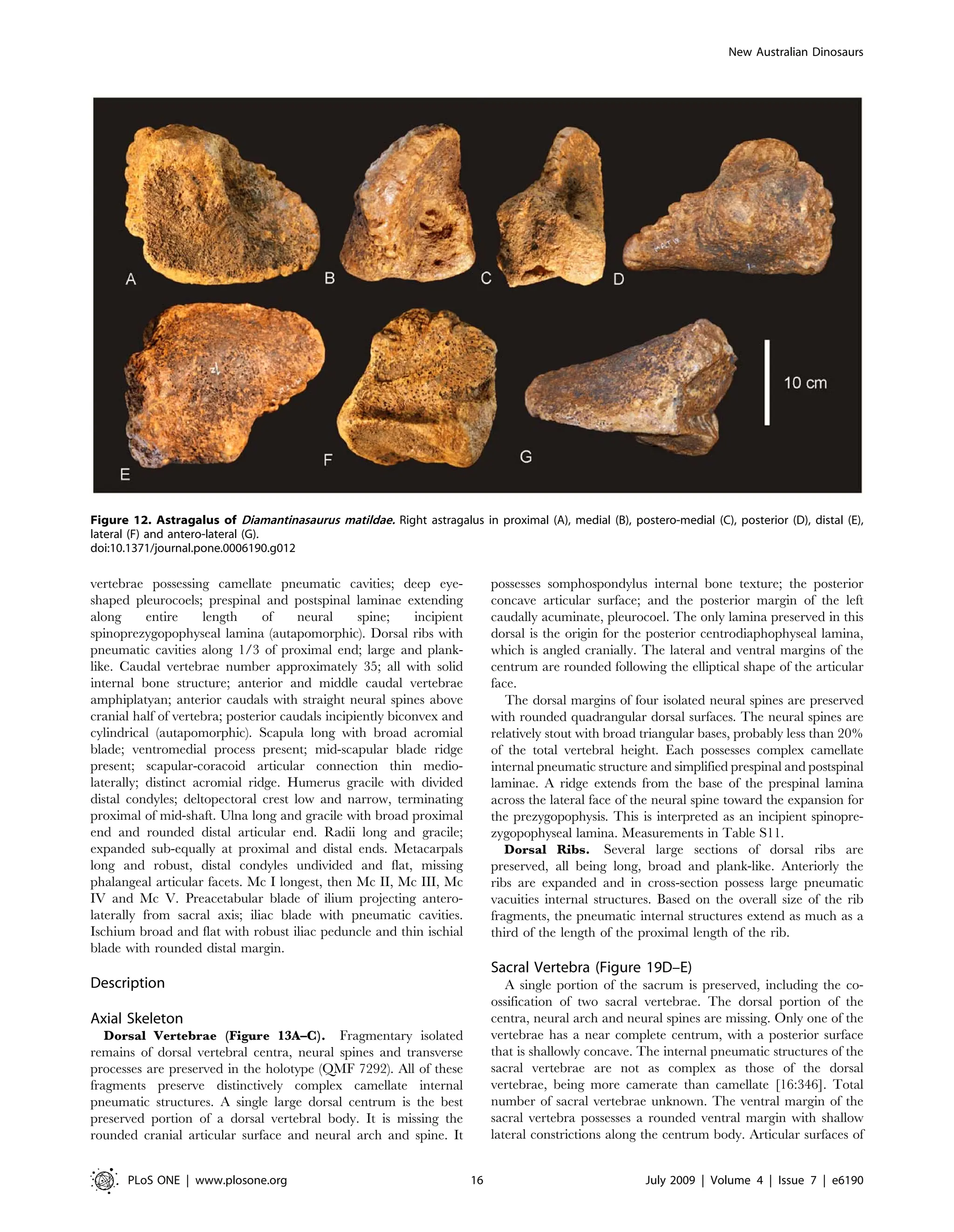 Hocknull_altri_2009.pdf