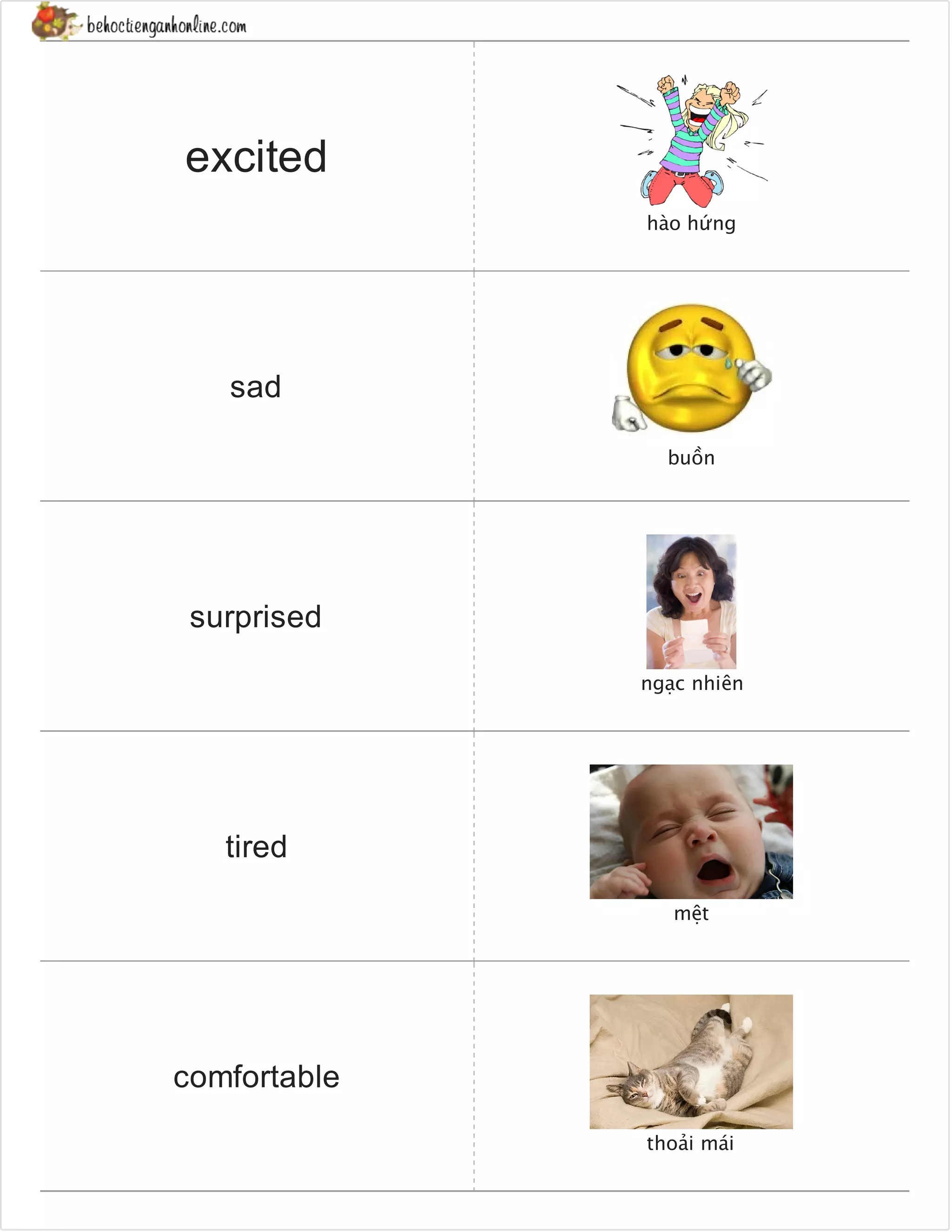 Học từ vựng tiếng anh bằng hình ảnh theo chủ đề trạng thái cảm xúc ...
