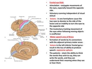 HOD cerebrum- areas and limbic system.pptx