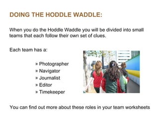 Hoddle waddle introduction | PPT