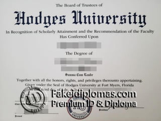 Hodges University degree | PDF