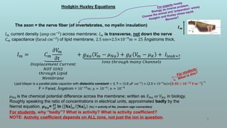 Hodgkin huxley dept oct 16 2018 | PPTX