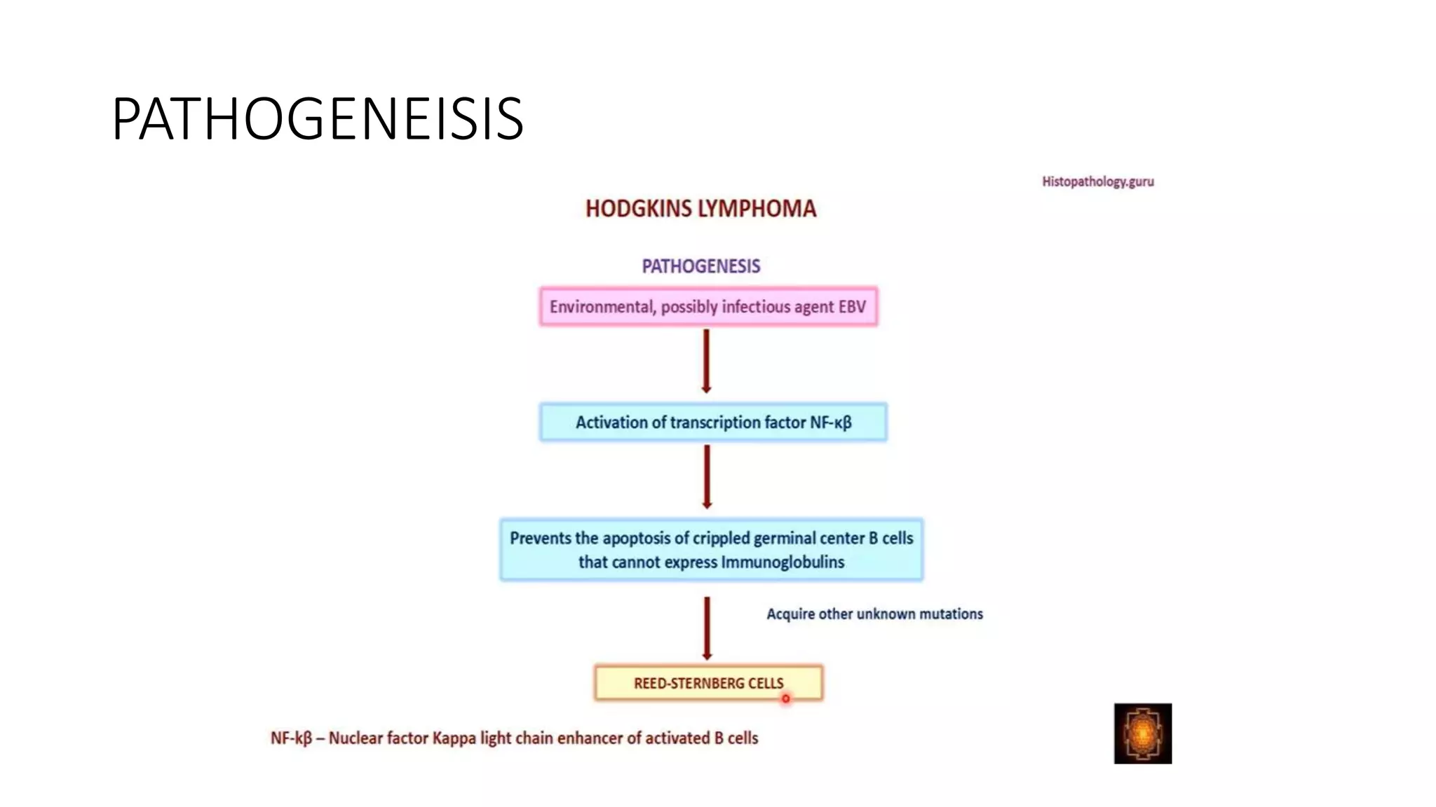 Hodgkins lymphoma ppt.pptx