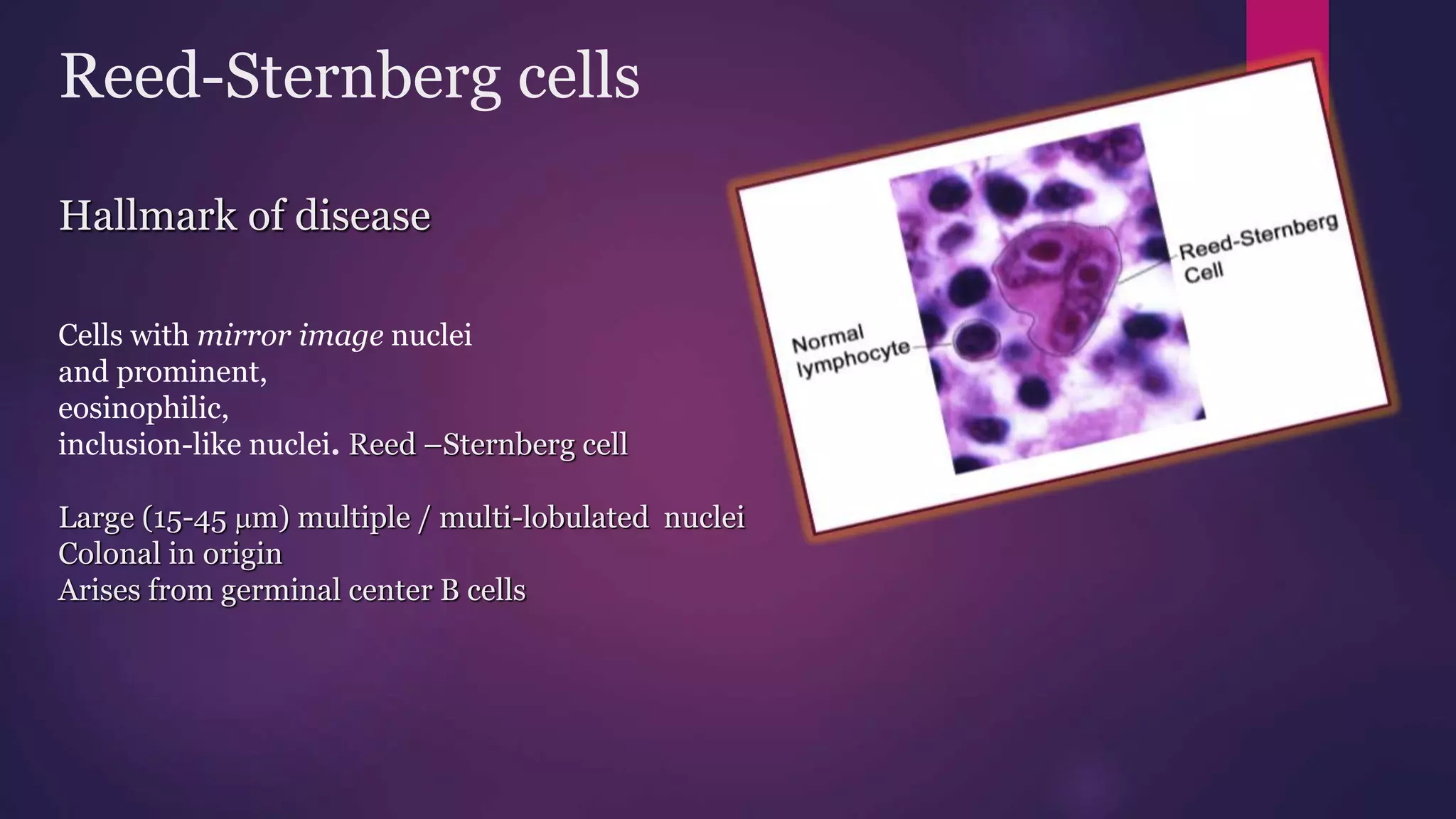 Hodgkins & Non-Hodgkins Lymphomas | PPTX